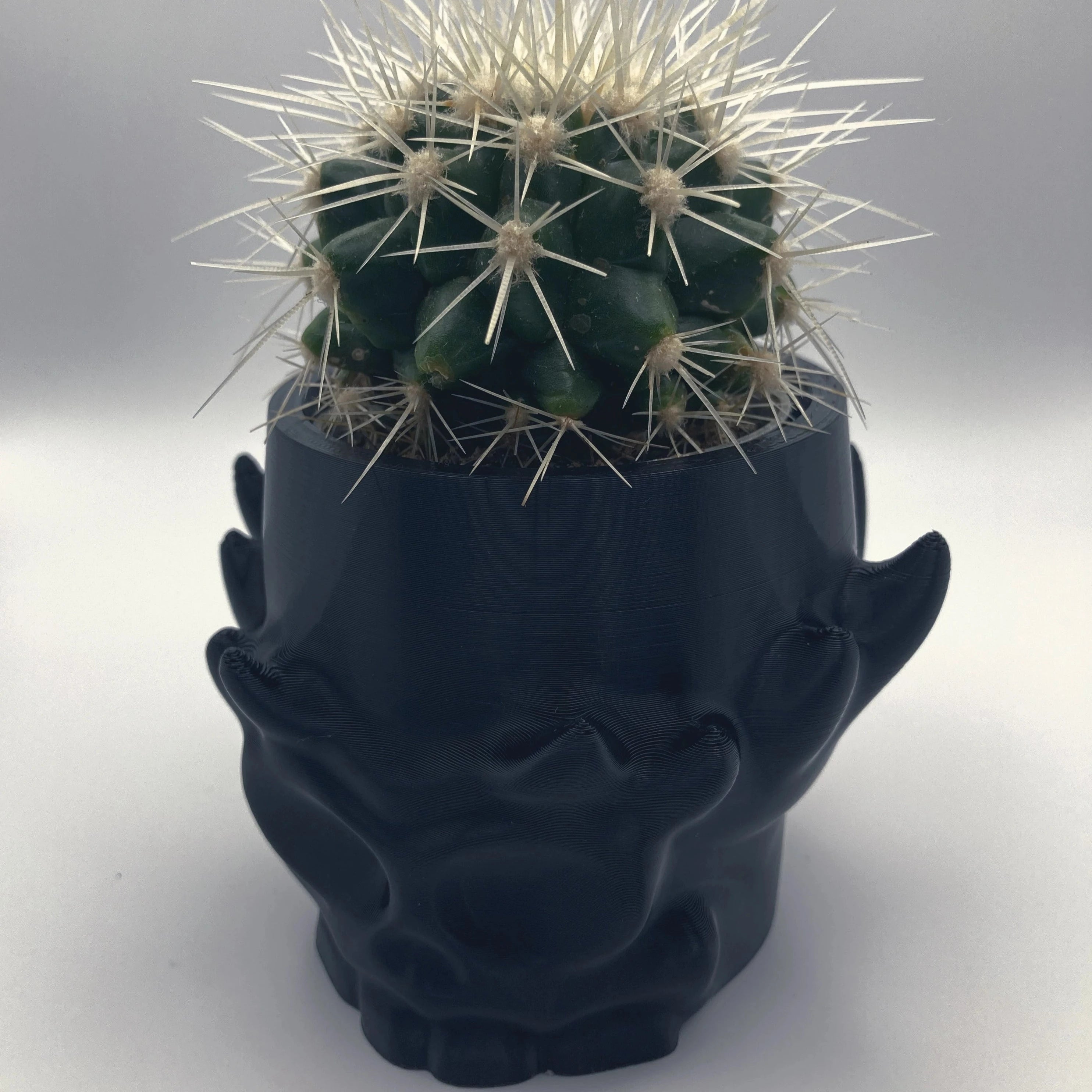 Stylized Skull Pot - Spike | 3D-printed locally by independent makers.