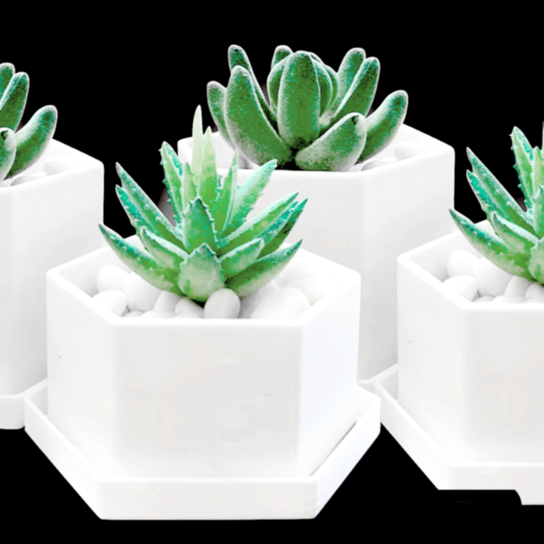 3D Printed Geometric Poligon Vase | 3D-printed locally by independent ...